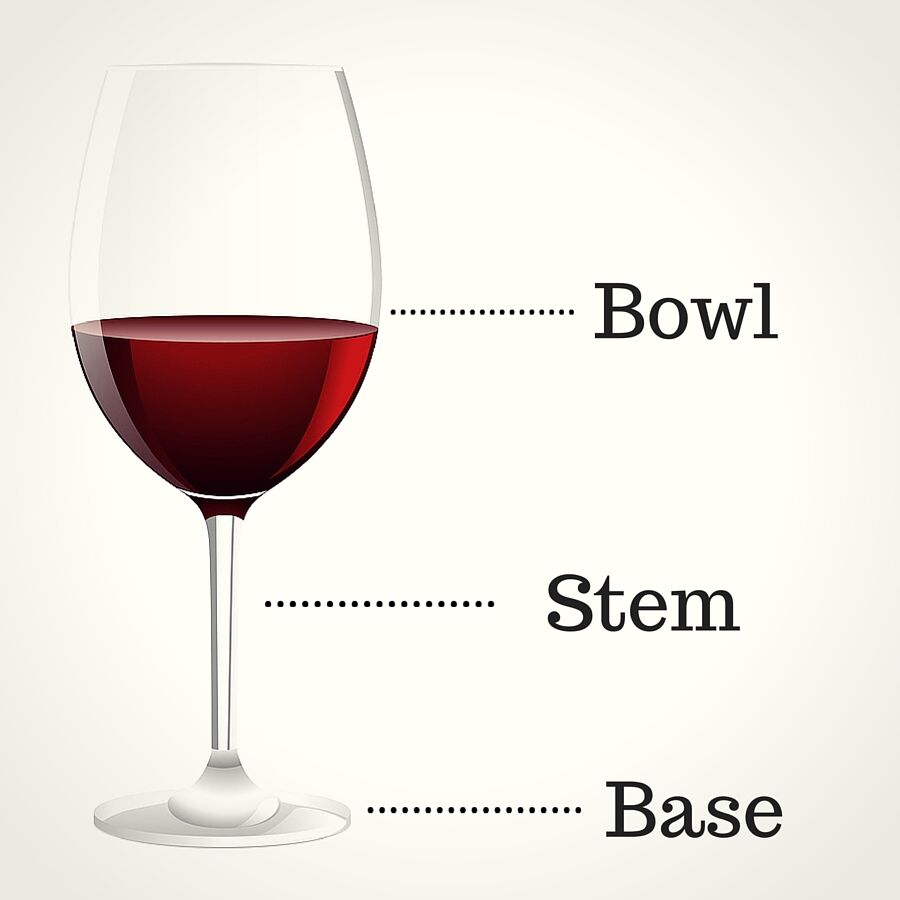 Different Types of Wine Glasses - Vintage Roots