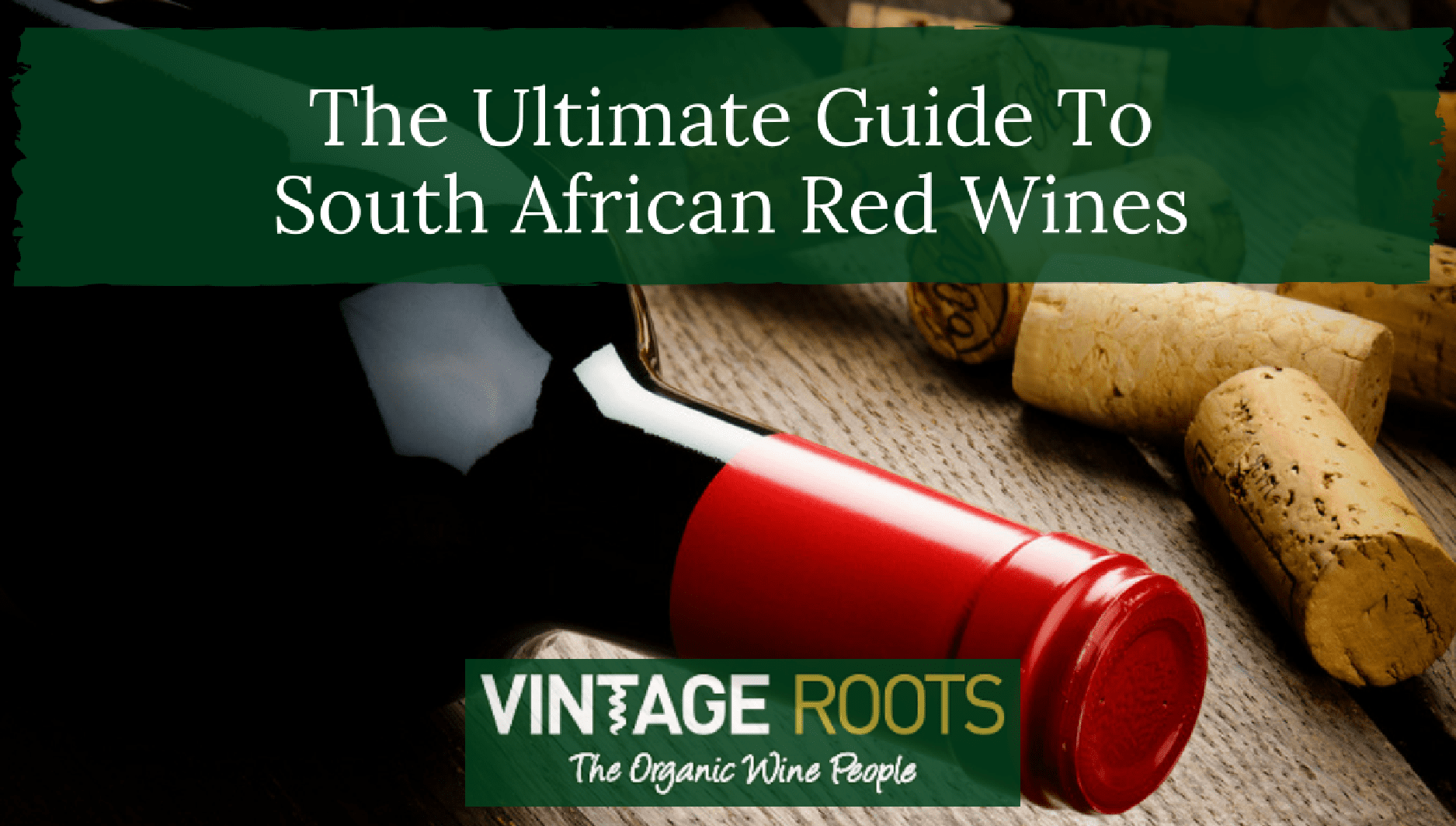The Ultimate Guide to South African Red Wines | Vintage Roots Ltd.