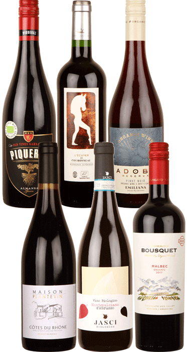 Mixed Cases of Organic Red Wines | Vintage Roots