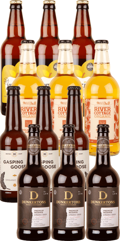Huge Choice of Mixed Organic Cider Cases | Vintage Roots