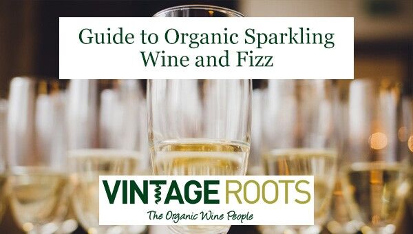 Organic Fizz & Sparkling Wine - Pop the Bubbly