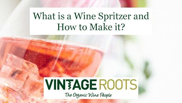 What is a Spritzer and How to Make it? All about Wine Spritzers