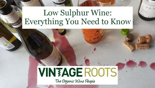 Low Sulphur Wine: A Guide to Low Sulphite Wine