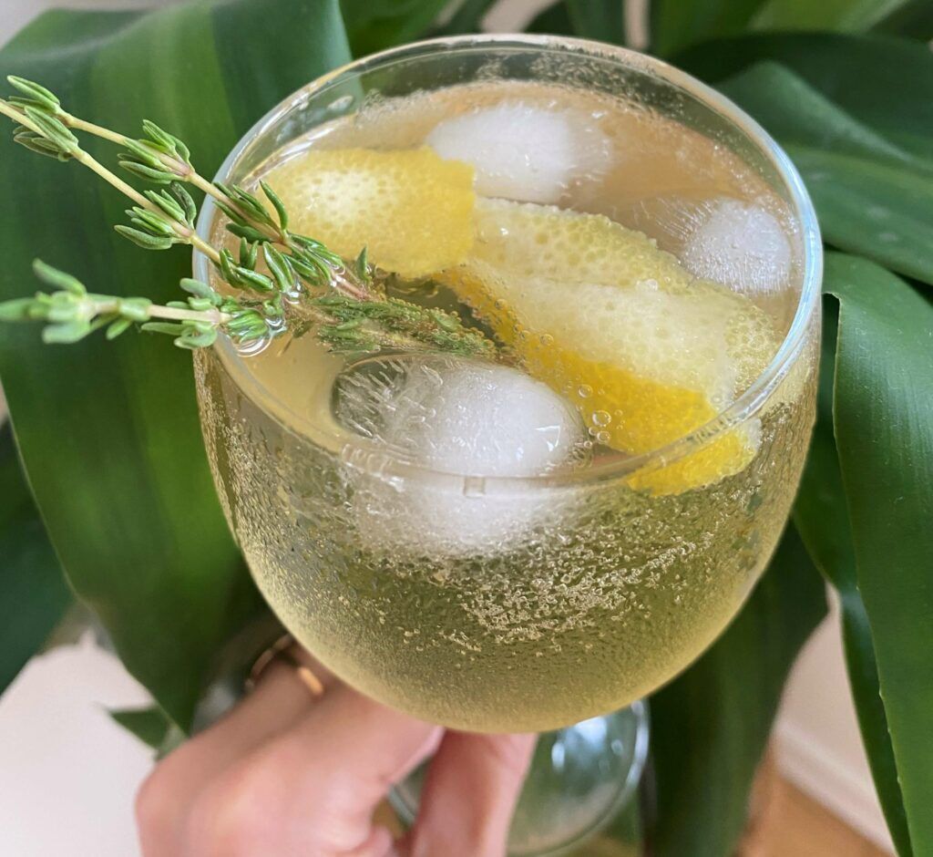 What is a Spritzer and How to Make it? All about Wine Spritzers