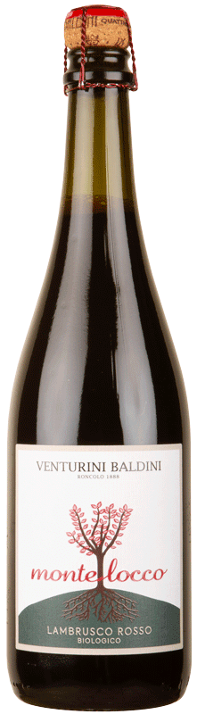 Venturini Baldini Lambrusco Rosso, Vintage Roots